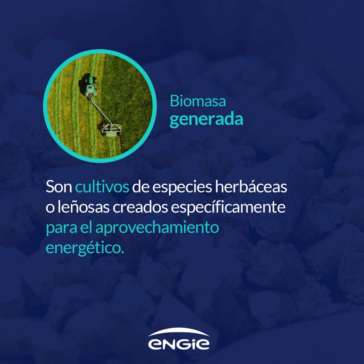 Tipos de biomasa: clasificación y usos en energía renovable - ENGIE España